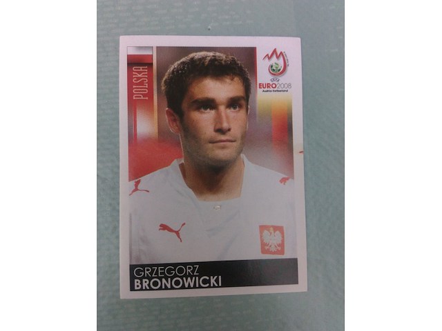 Panini EURO 2008 sličica broj 244