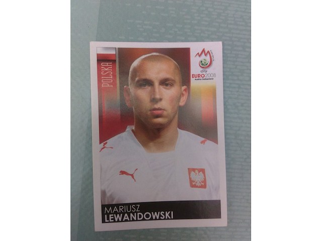 Panini EURO 2008 sličica broj 243