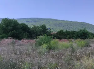 Prodaja Građevinsko zemljište - Niš, Niška Banja