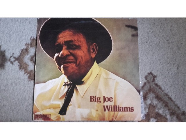 Big Joe Williams