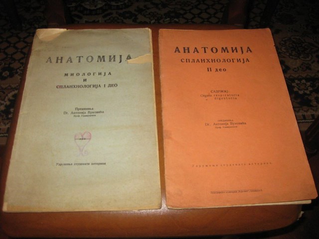 Anatomija (Miologija i splanhnologija) 1938.