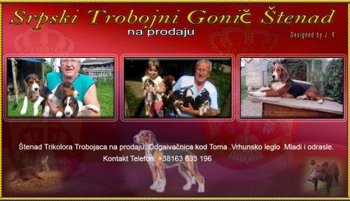 Srpski Trobojni Gonič