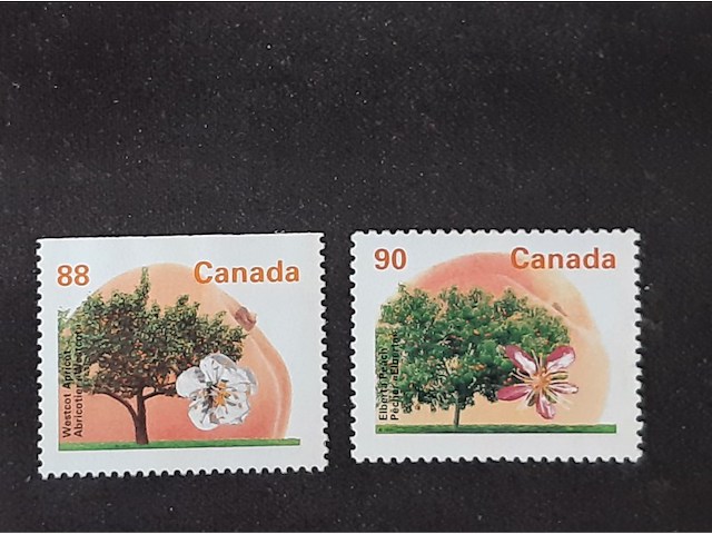 Marke 1873 Kanada lot bez gume cvece flora