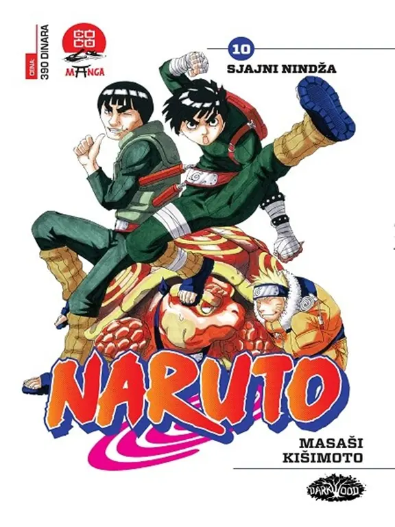 DarkWood Naruto 10: Sjajni nindža (reprint)