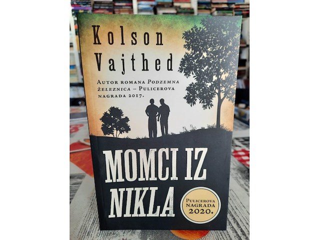 Momci iz Nikla - Kolson Vajthed