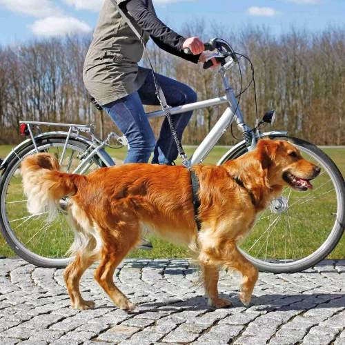 Trixie povodac za pse za bicikl i trčanje