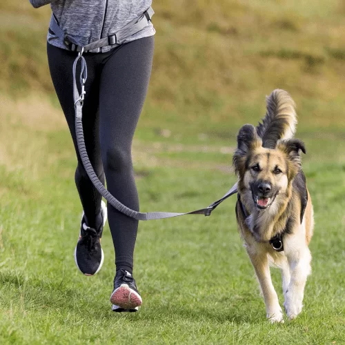 Trixie povodac za  trčanje sa psom za srednje i velike pse