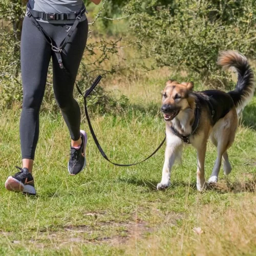 Trixie povodac za trčanje sa psom za srednje i velike pse sa šok apsorberom