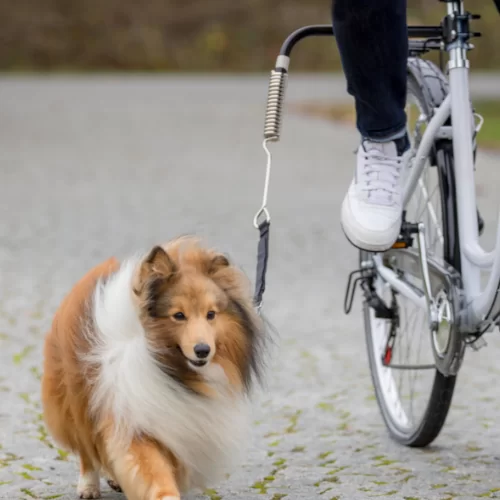 Trixie povodac set za bicikl za male i srednje pse BESPLATNA DOSTAVA