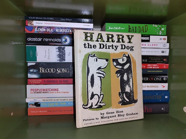 Harry the Dirty Dog Gene Zion first edition 1956