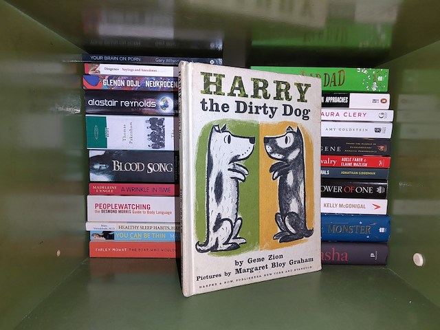 Harry the Dirty Dog Gene Zion first edition 1956