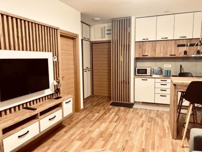 Apartman Zlatibor za izdavanje