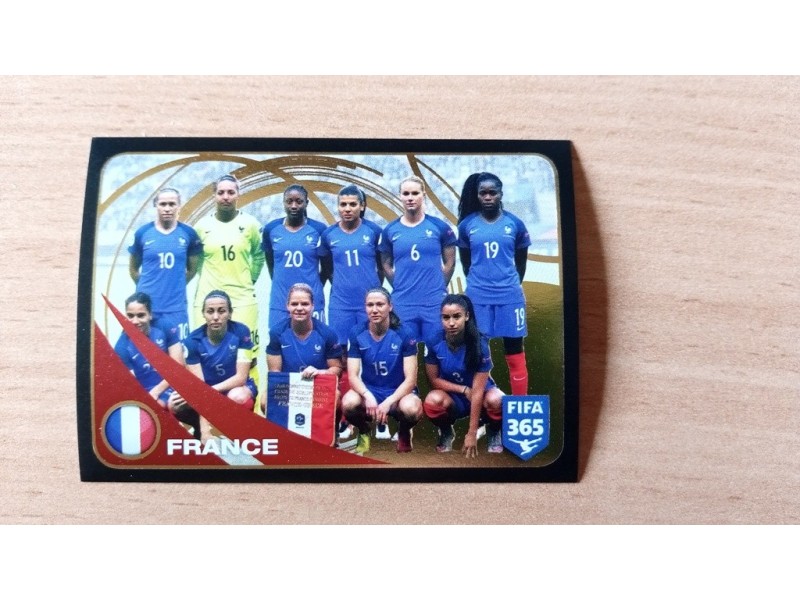 Panini Fifa 365 2017 sličica broj 288