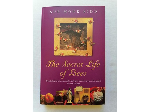 The Secret Life of Bees -  Sue Monk Kidd
