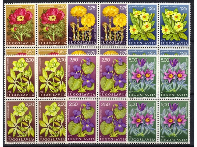 Flora 1969.,četverci,čisto