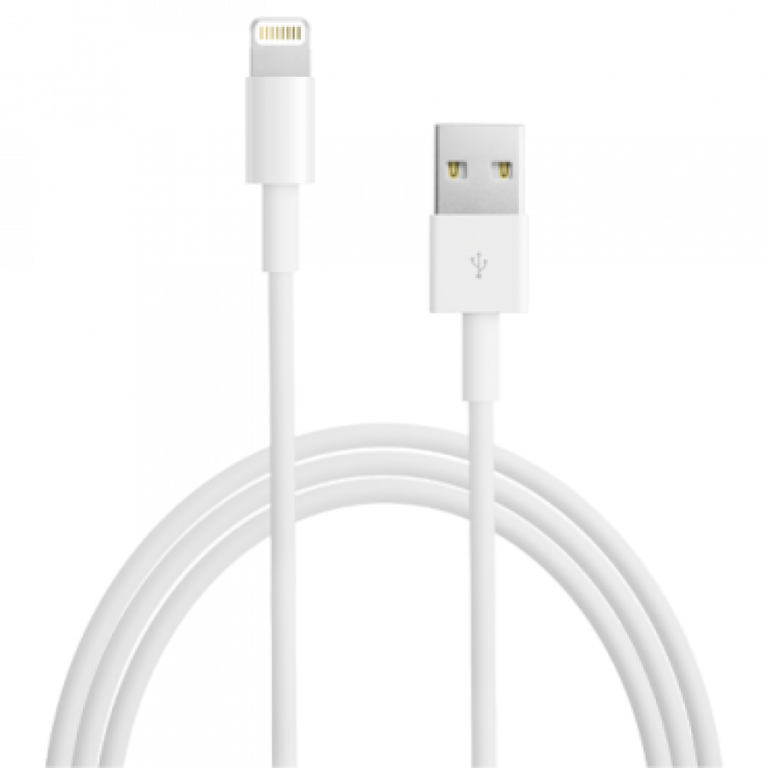 APPLE Lightning to USB Cable (0.5 m) ME291ZM/A