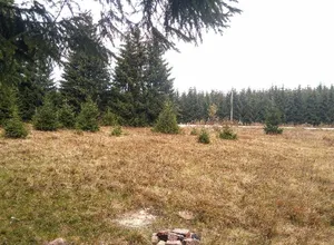 Prodaja Plac - Novi Pazar