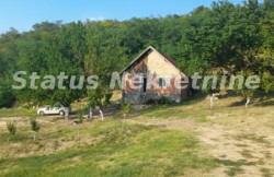 Beočin-kuća u Dumbovu 40 m2 na lepom Vlikom Placu od 1568 m2-065/385 8880