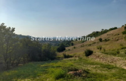 Beočin-Dve kuće na Fruškoj Gori na Placu od 5758 m2 u zelenom visinskom kraju-065/385 8880