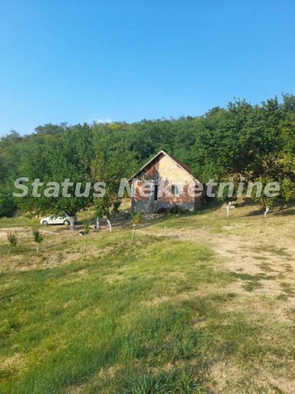 Beočin-kuća u Dumbovu 40 m2 na lepom Vlikom Placu od 1568 m2-065/385 8880