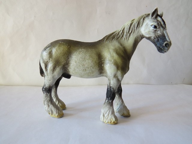 PROCON (Collecta) Pastuv