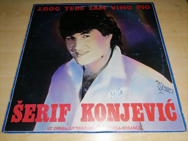 ŠERIF KONJEVIĆ - Zbog tebe sam vino pio