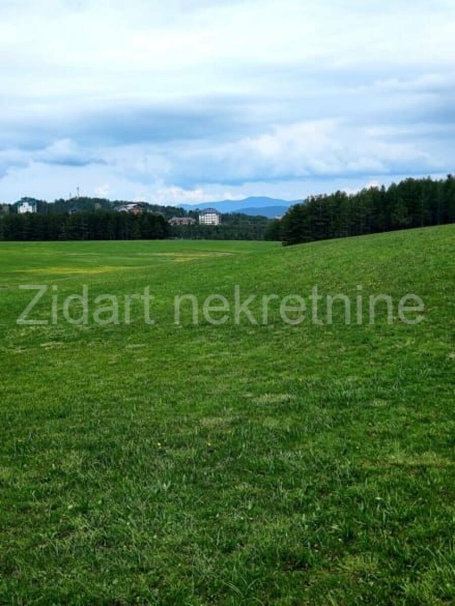 Hitna prodaja! Zlatibor plac 5,5 ari Gajevi, najlepši deo Zlatibora