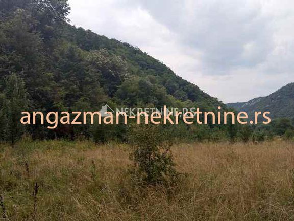 Boljevac, Rtanj – Jablanica - 77,11ari ID#19054