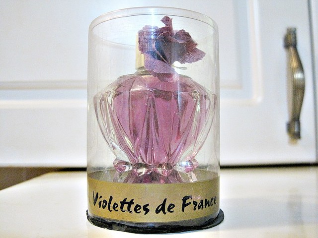 Lesourd violettes de france