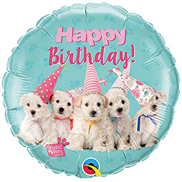 57620
18″ Foil Birthday Puppies