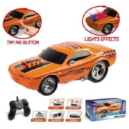 Hot Wheels R/C Police Pursuit
Hot Wheels R/C Police Pursuit