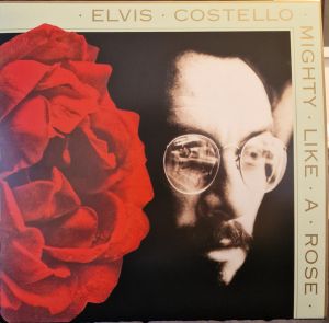 Elvis Costello