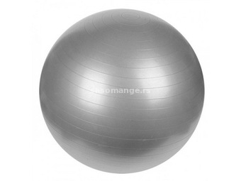 85 см. Фитбол Hawk t07640, 65 см. Фитбол Sprinter Anti-Burst Gym Ball fb-85, 85 см. Фитбол Hawk t07642, 85 см. Фитбол 85 90.