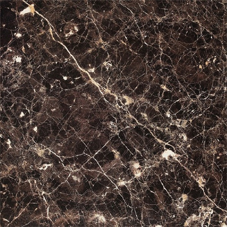 Polirani granit PG6099 60×60