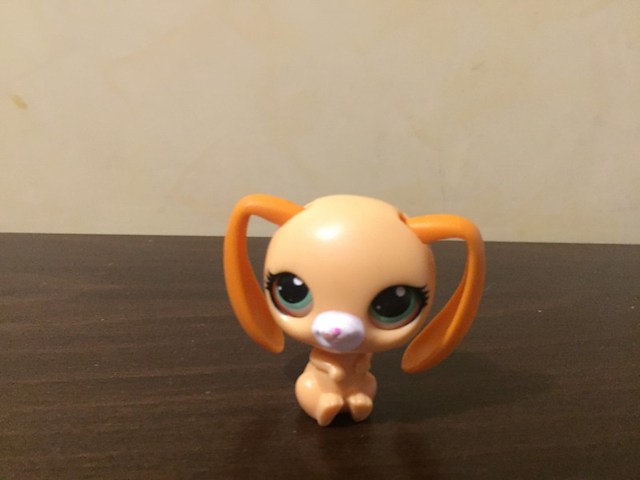 Littlest pet shop