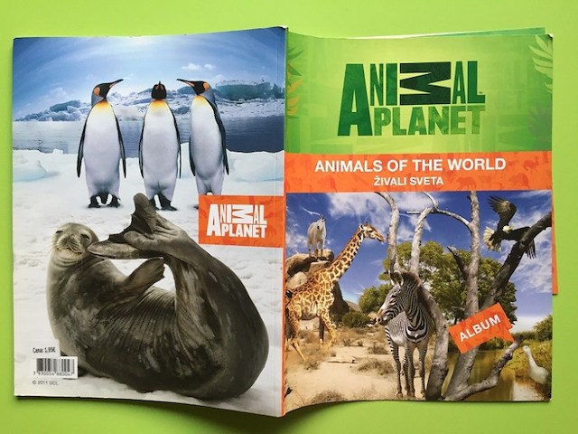 Animal planet Album PUN