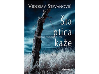 Šta ptica kaže - Vidosav Stevanović