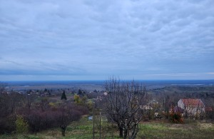 Prodajem Zemljište, Vezirac, Novi Sad Okolica