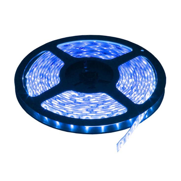 LED traka plava 60 LED / 1m LTR2835/60B-12S