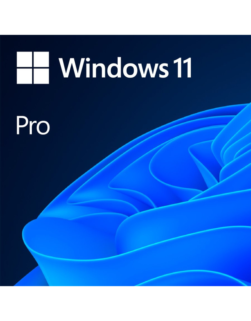 Windows 11 Professional 64Bit English Intl 1pk DSP OEI DVD