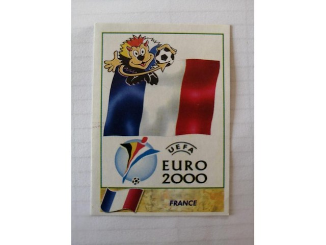 Maracani Gross Euro 2000 - Flag France 233