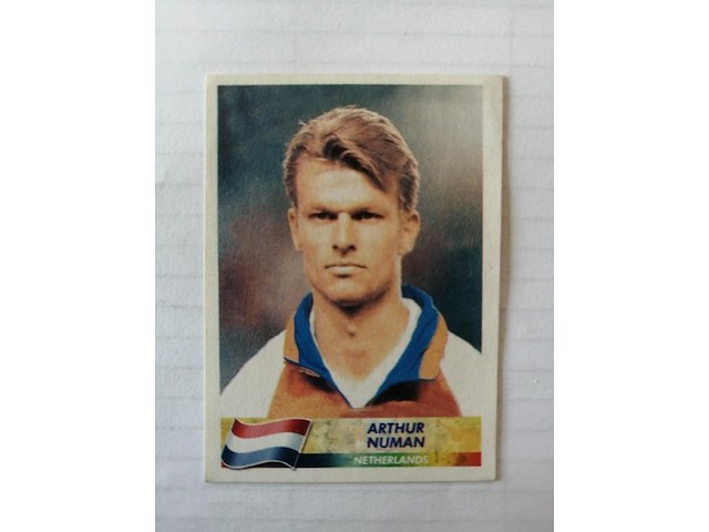 Maracani Gross Euro 2000 - Arthur Numan 195
