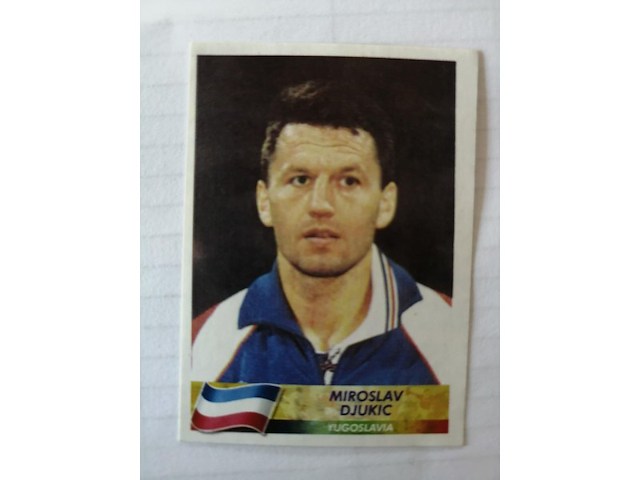 Maracani Gross Euro 2000 - Miroslav Djukic 164