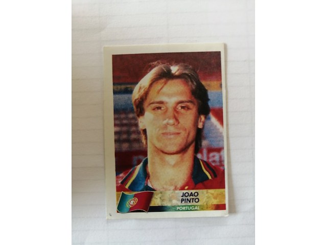 Maracani Gross Euro 2000 - Joao Pinto 50