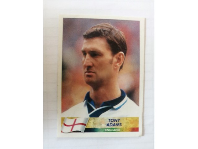 Maracani Gross Euro 2000 - Tony Adams 58