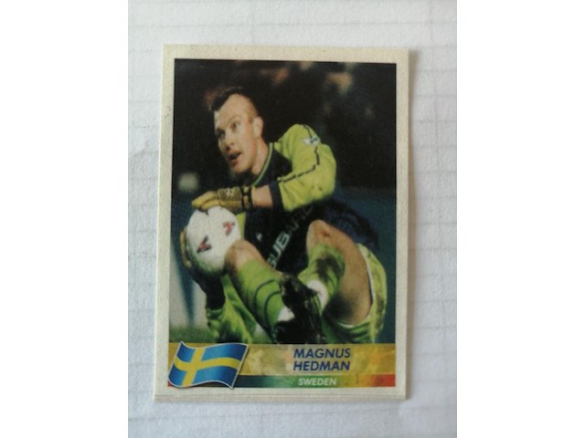 Maracani Gross Euro 2000 - Magnus Hedman 87