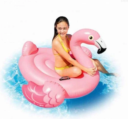 Dušek za vodu flamingo ride on 57558