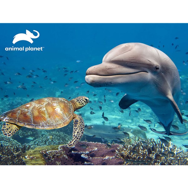 Prime 3D puzzle Animal Planet Delfin 500 delova 61x46cm 10379