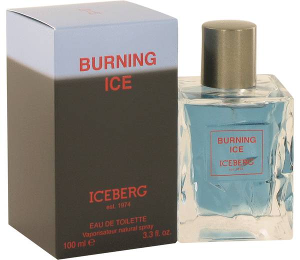 Burning Ice