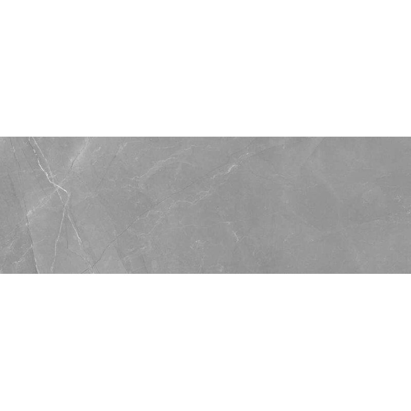Kanjiža Elegant Grey WT 20x60cm